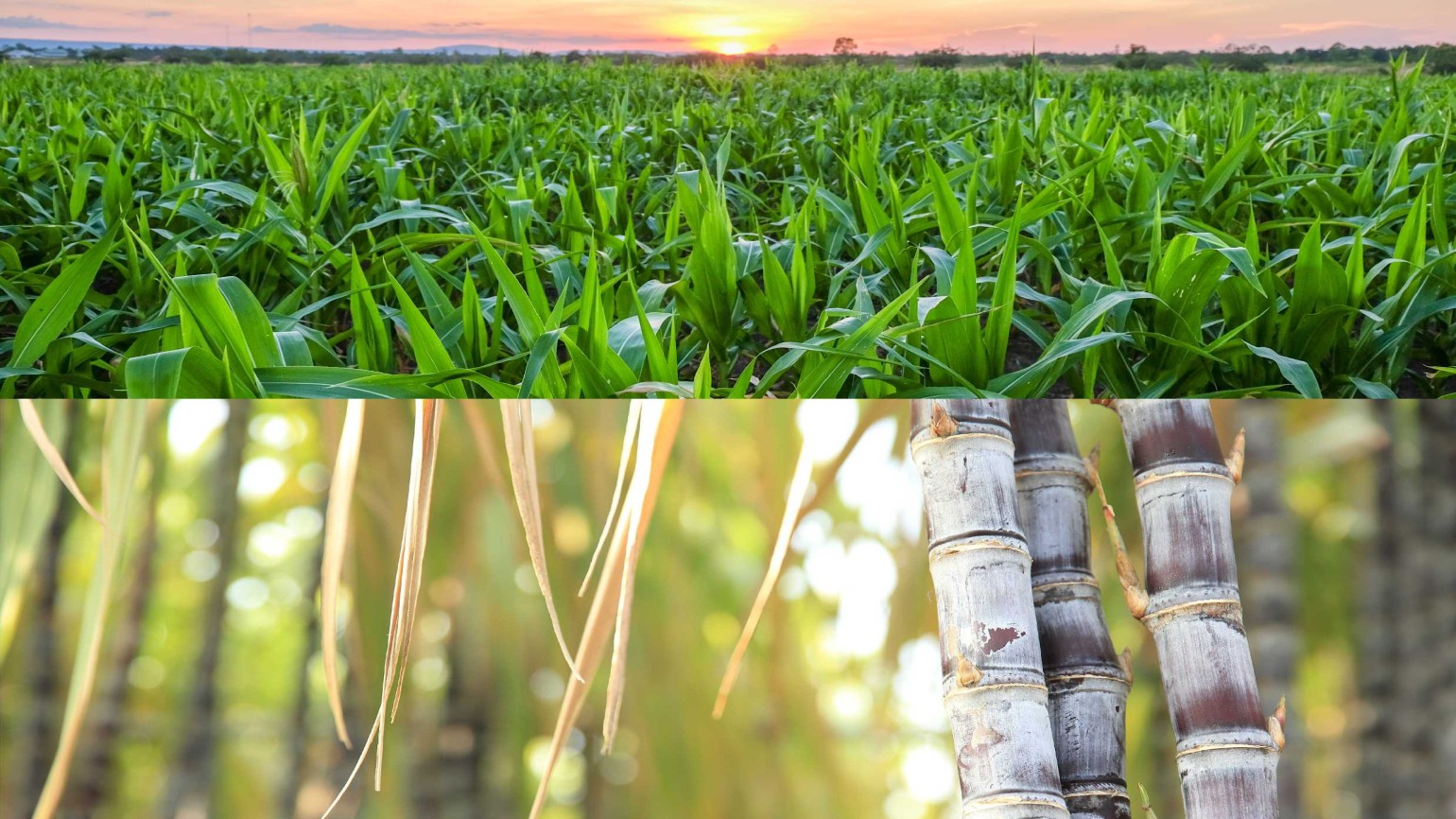 Opera® - Agricultural Solutions