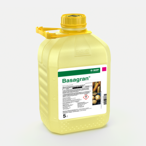 Product search - Overview