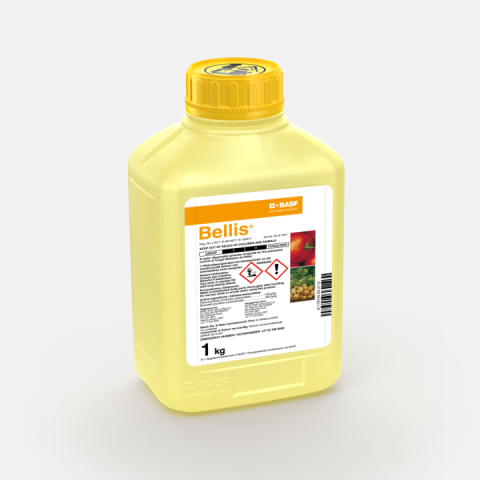 Product search - Overview