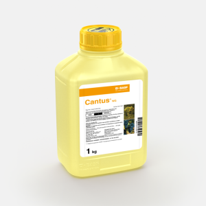 Product search - Overview