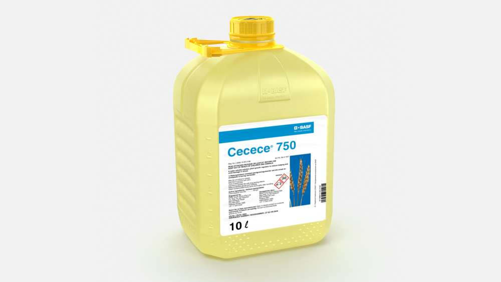 BASF Wheat solutions