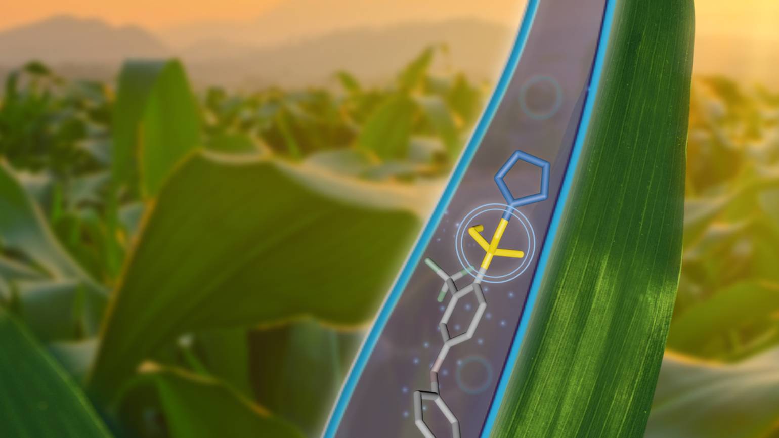 Revytek® - Agricultural Solutions