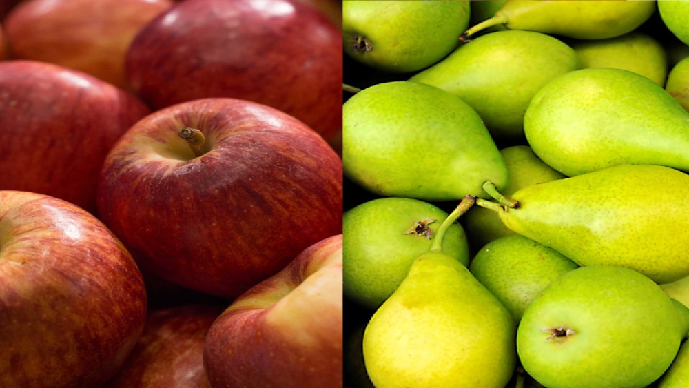 BASF Pome Fruit Application Guide