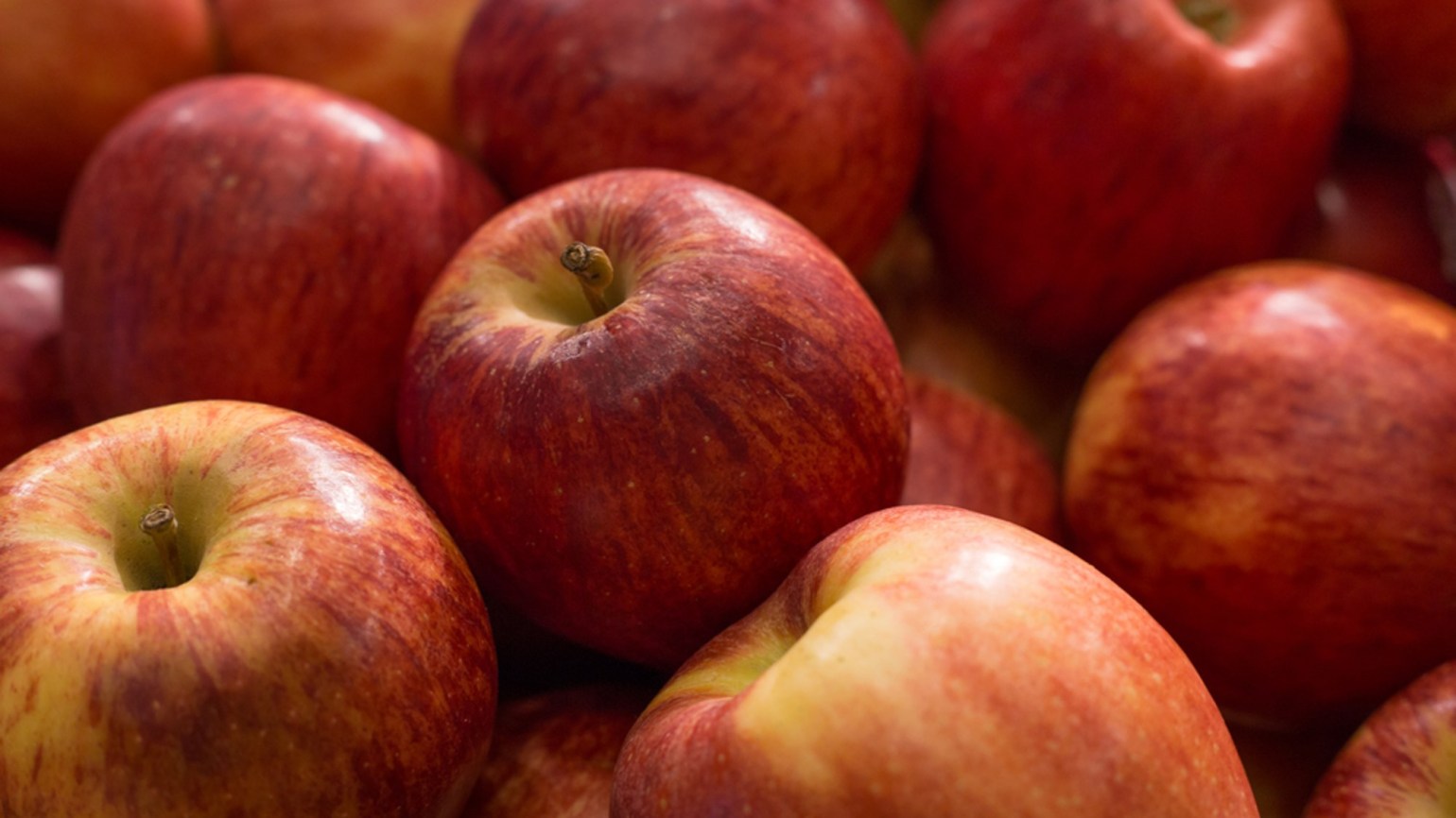 Pome-Fruit - Agricultural Solutions