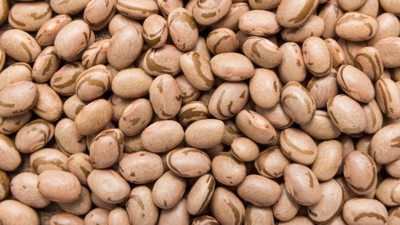 Beans - Agricultural Solutions