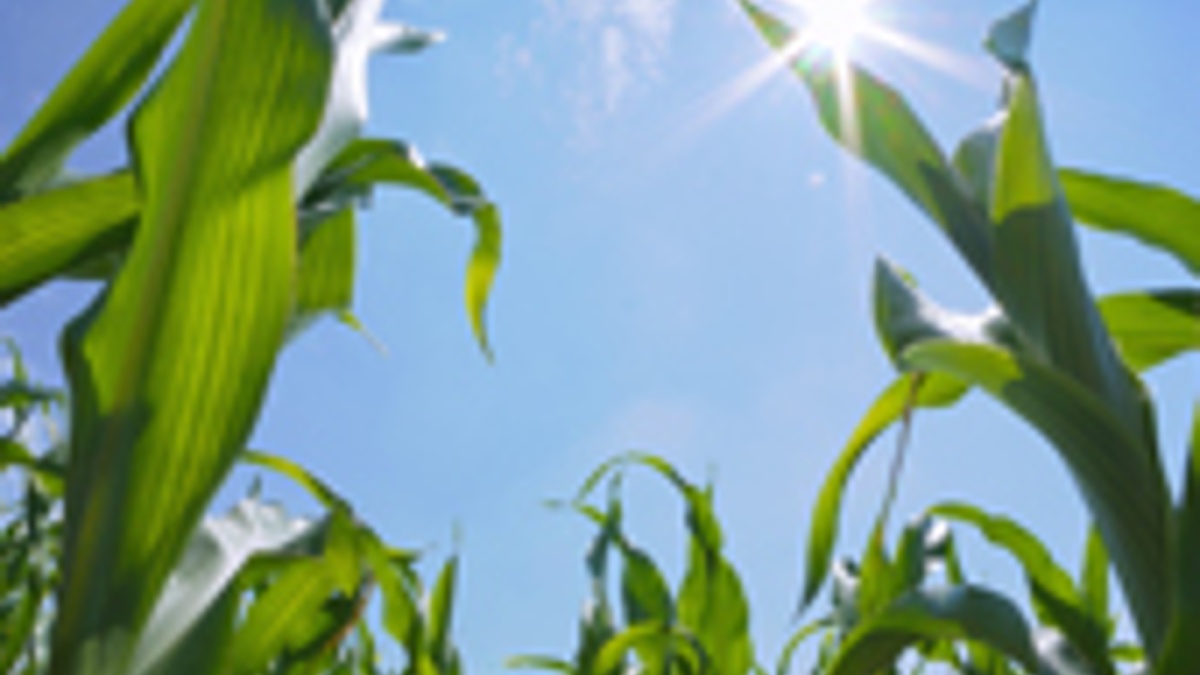 Eragon® - Agricultural Solutions