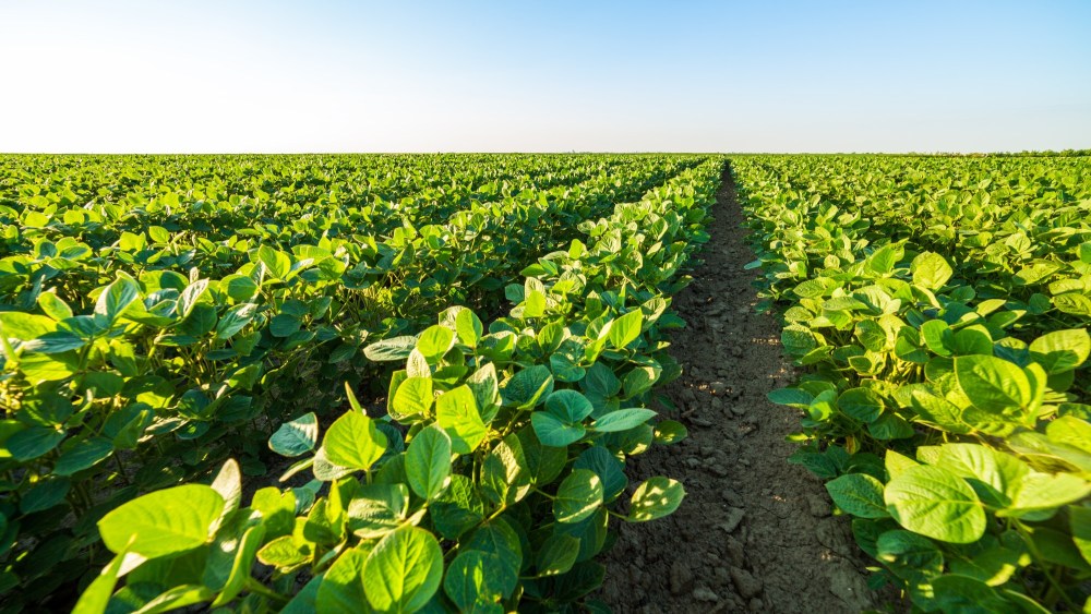 Sojaboon - Agricultural Solutions