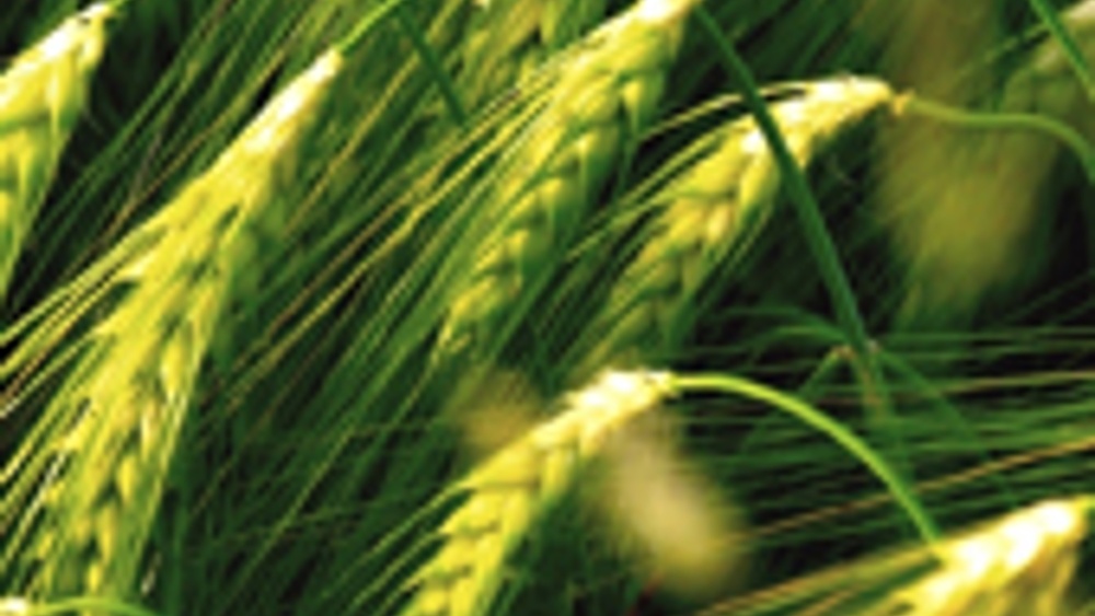 CeCeCe® - Agricultural Solutions