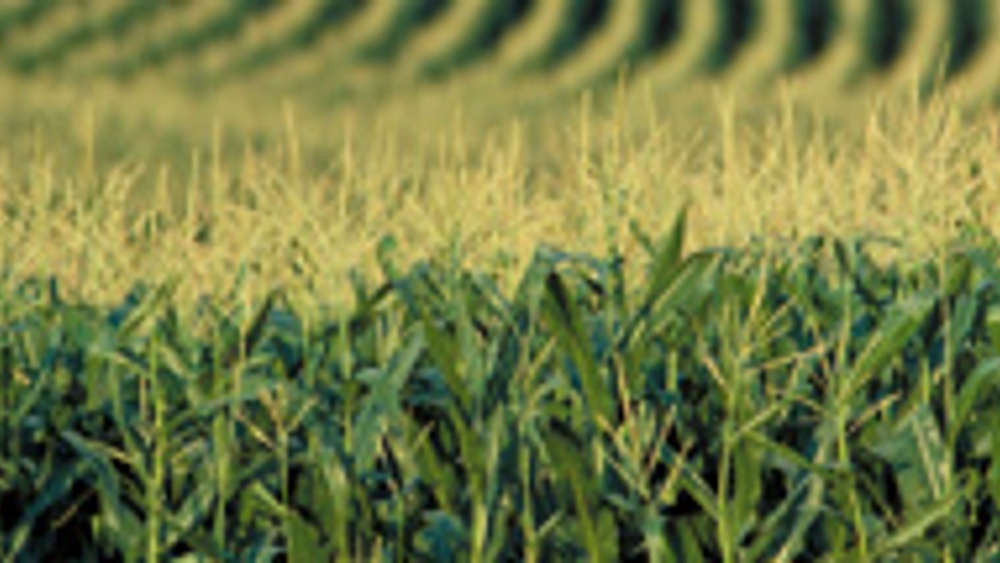 BASF Crop Protection