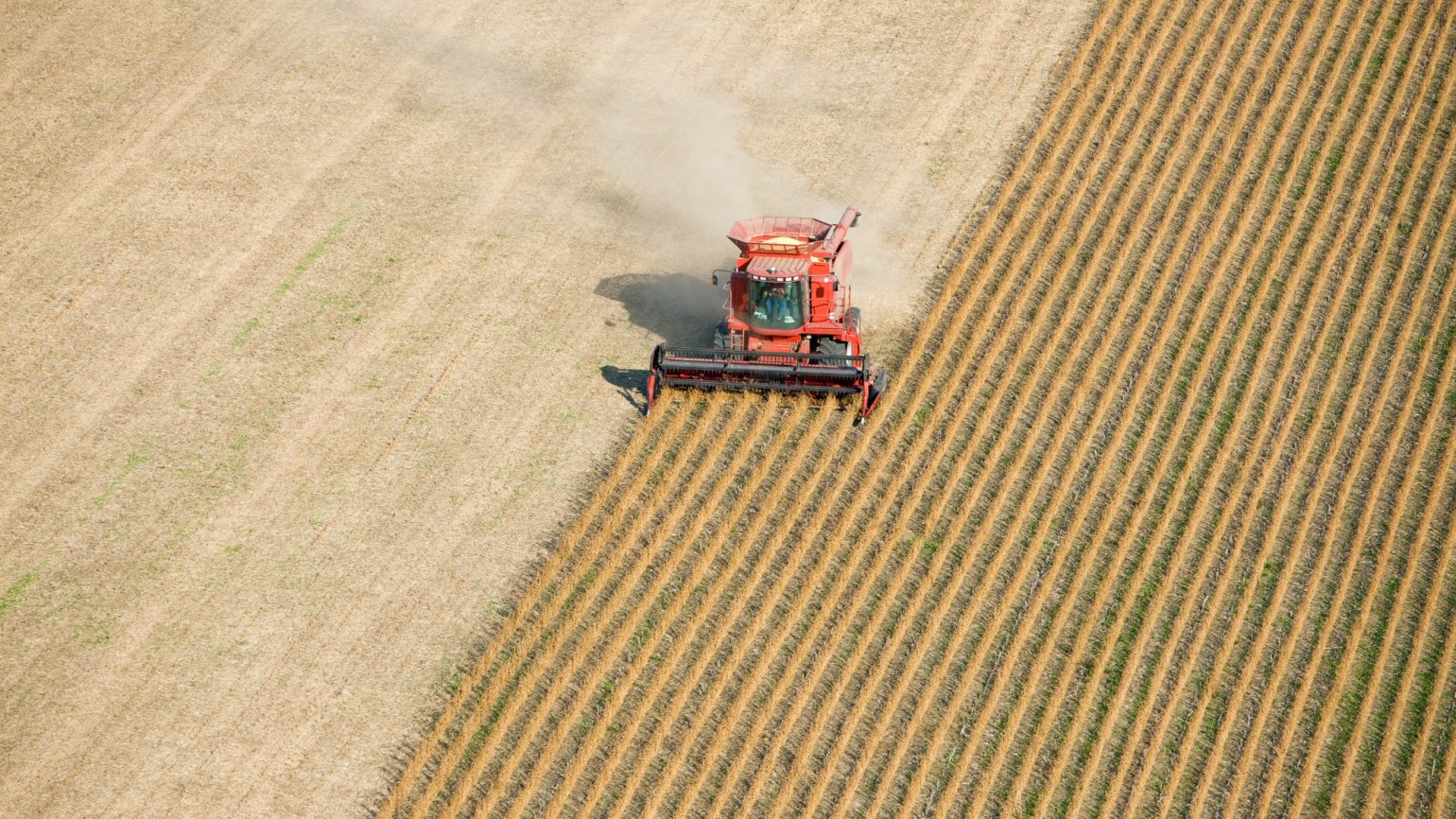 BASF Soybean solutions