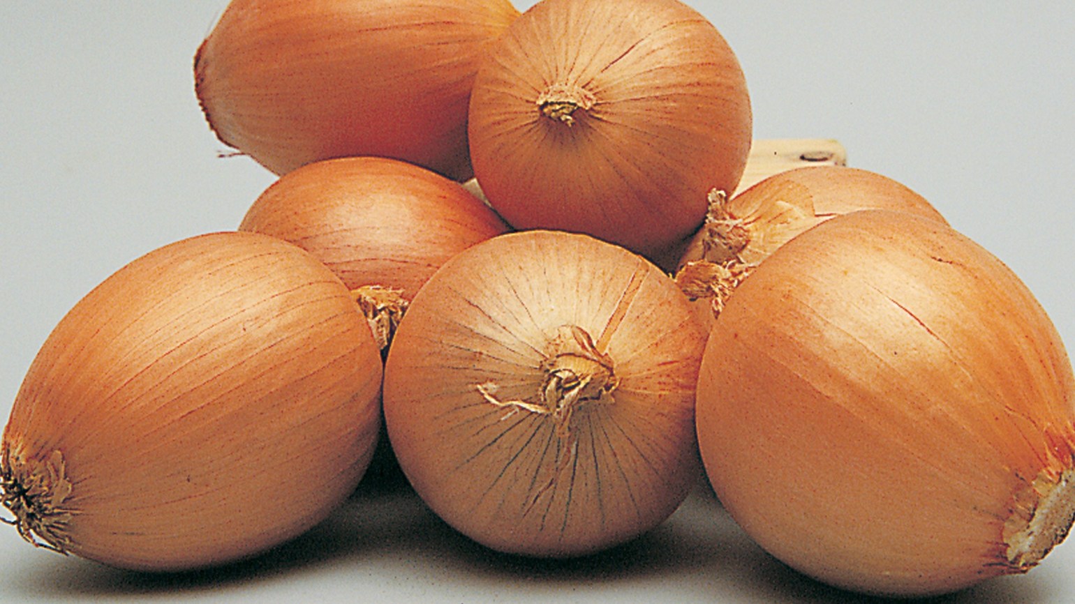 BASF Tomato Application Guide