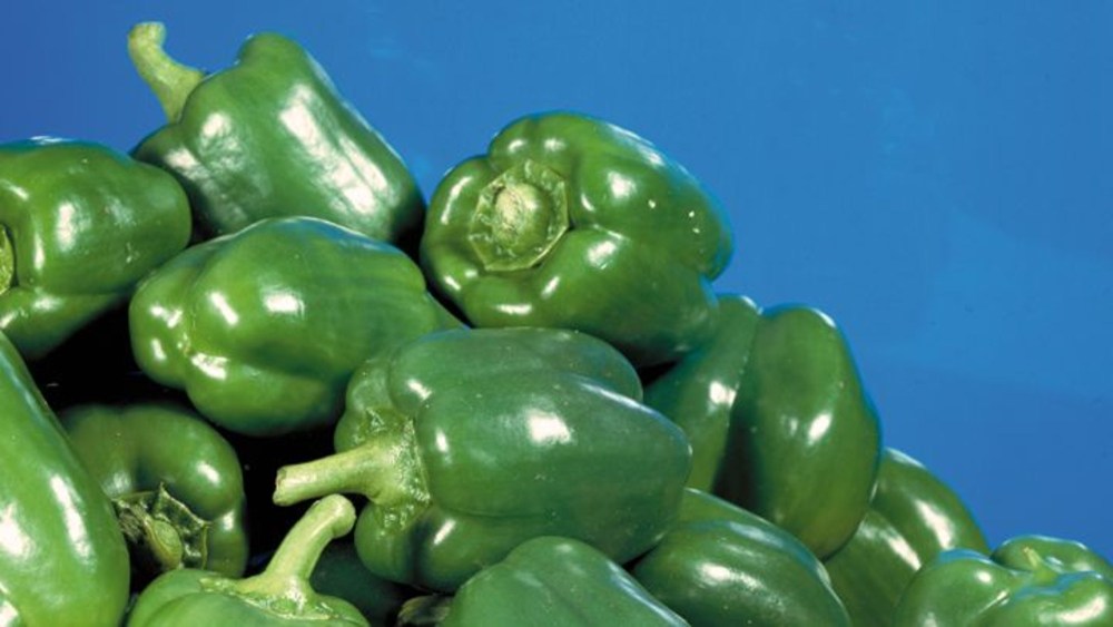 Bell Pepper - Agricultural Solutions