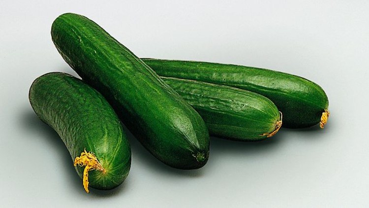 Cucumber - Agricultural Solutions