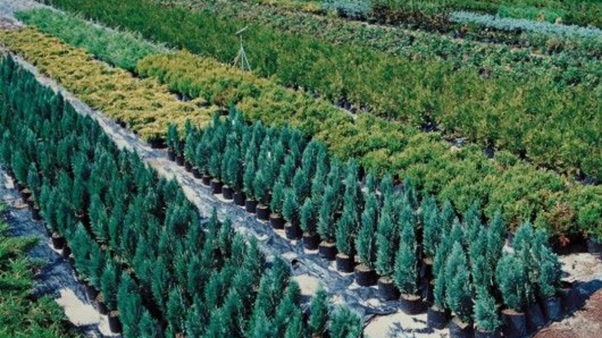 Bome En Struike Kwekery - Agricultural Solutions